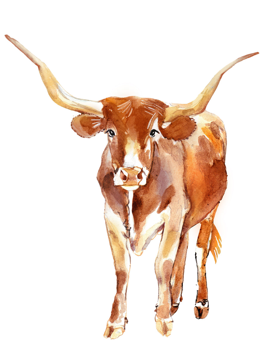 From Bevo to Burnt Orange: The Icons Behind Our Designs – EighteenFortyTwo